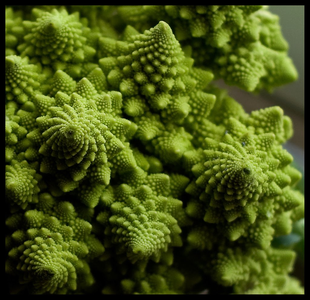 Snowskinmooncakes: searching for fractal broccoli/cauliflower