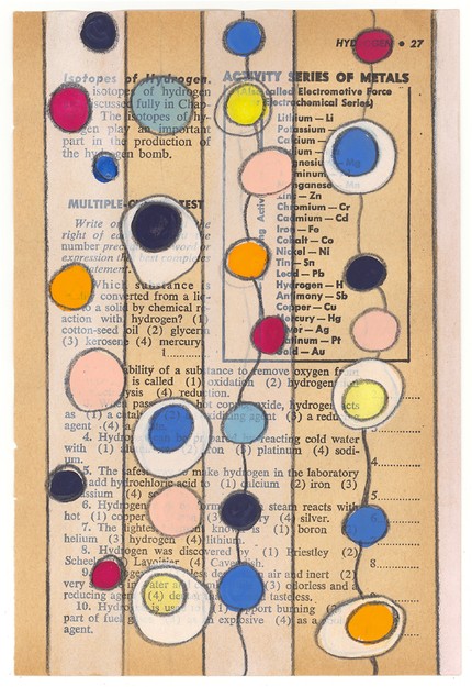 Kickcan & Conkers: Beautiful Biology