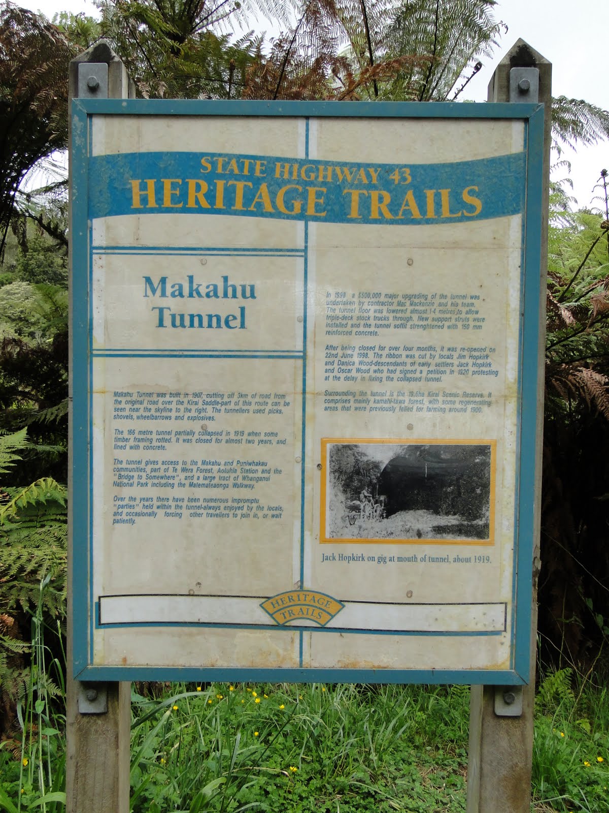 Kowhaiz: Matemateaonga Track, Whanganui National Park day 1 Nov 2010