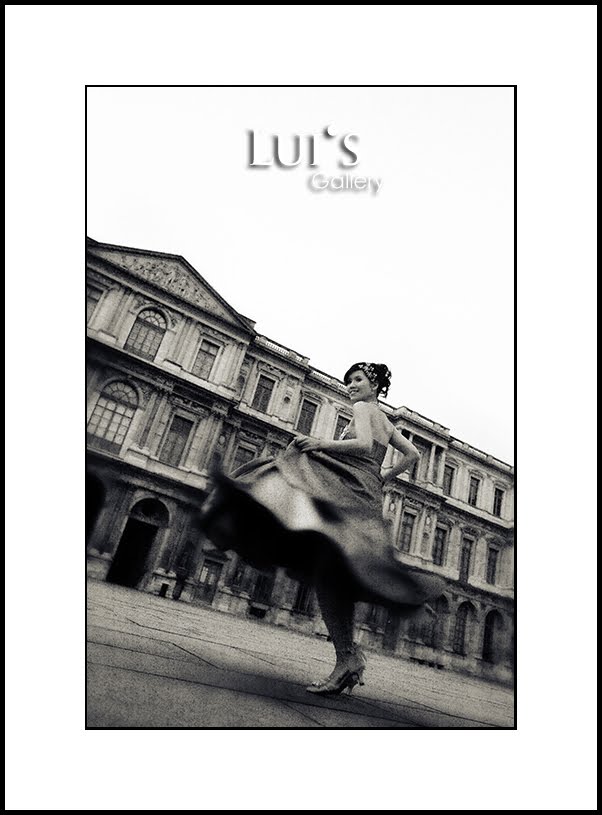 Hong Kong Wedding Photographer - CaLvin Lui of Lui's Gallery