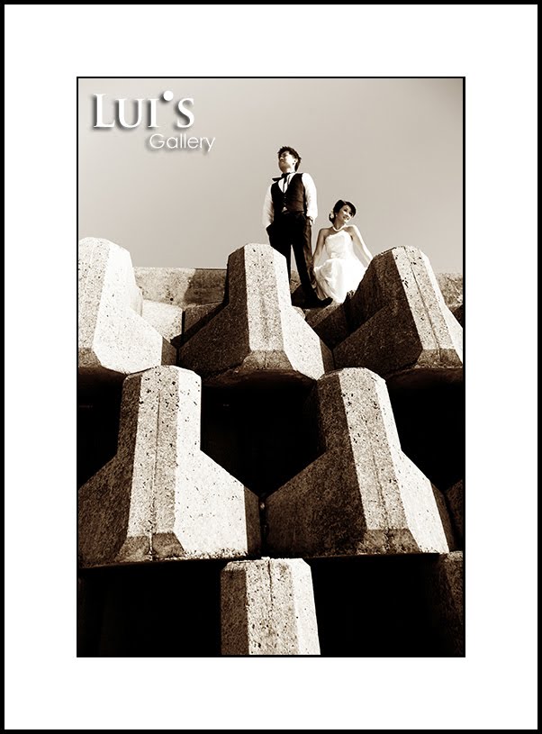 Hong Kong Wedding Photographer - CaLvin Lui of Lui's Gallery