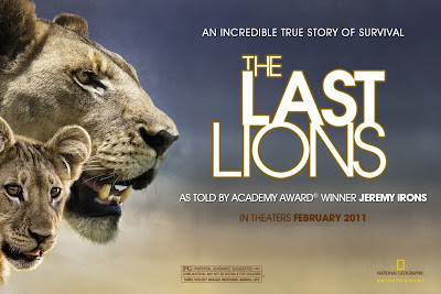 N4nation: The Last Lions Movie poster, Trailer And Synopsis