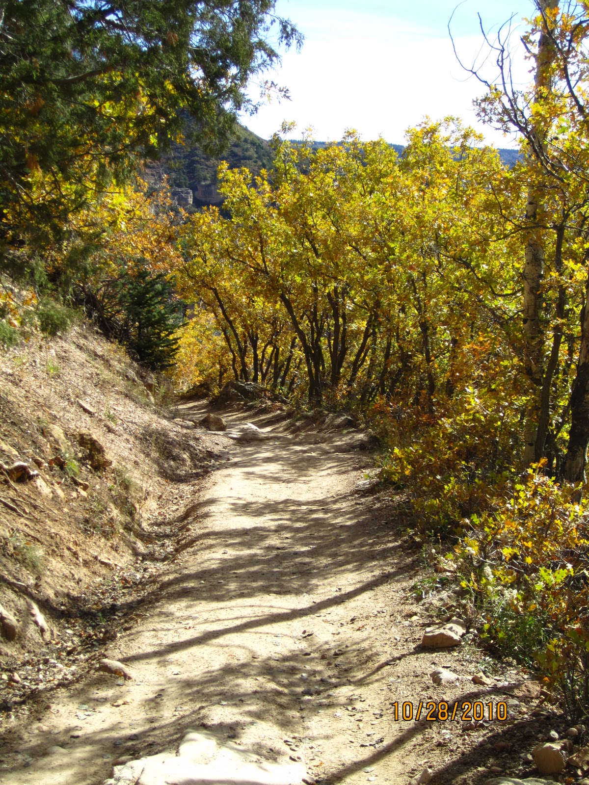 Road Trip USA: Grand Canyon: North Rim