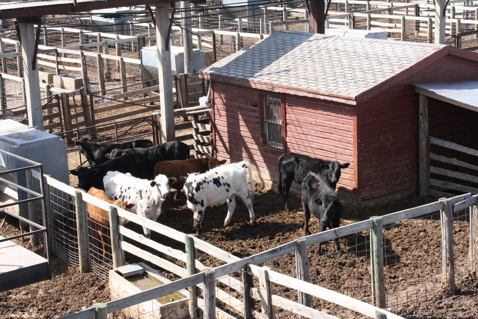 The Oklahoma National Stockyards