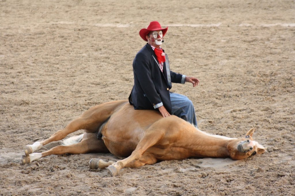 The Buffalo Bill Rodeo