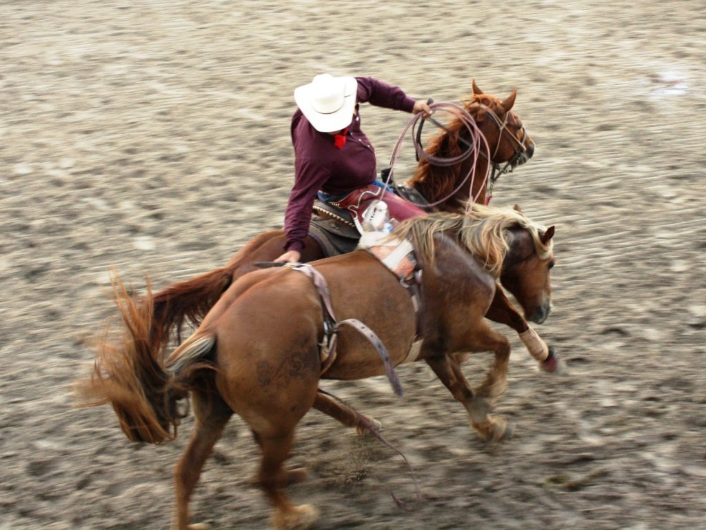 The Buffalo Bill Rodeo