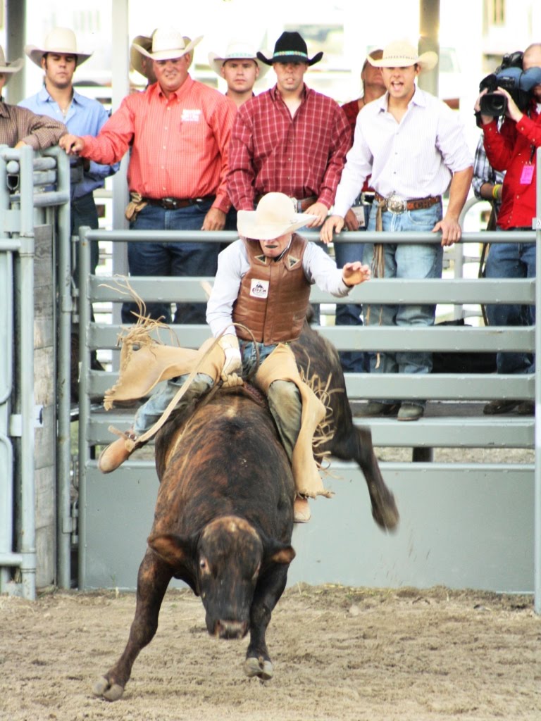 The Buffalo Bill Rodeo