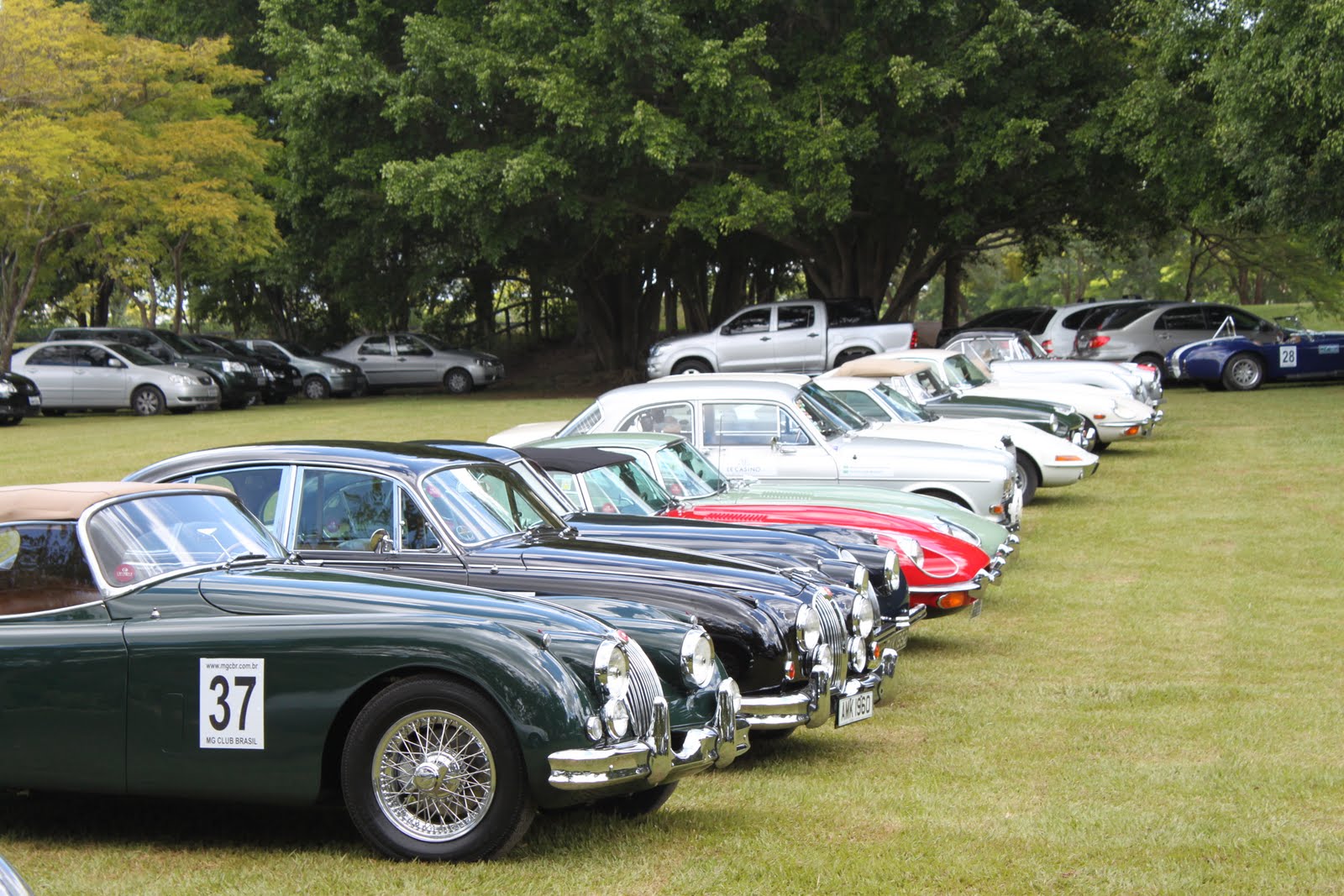 Historic Rally & Classic Race Cars: 67 Rallye Histórico do MG Club do ...