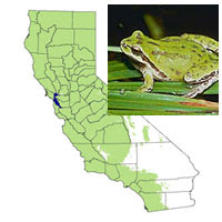 NatureMapping Program - Blog: California Wildlife Distribution Maps