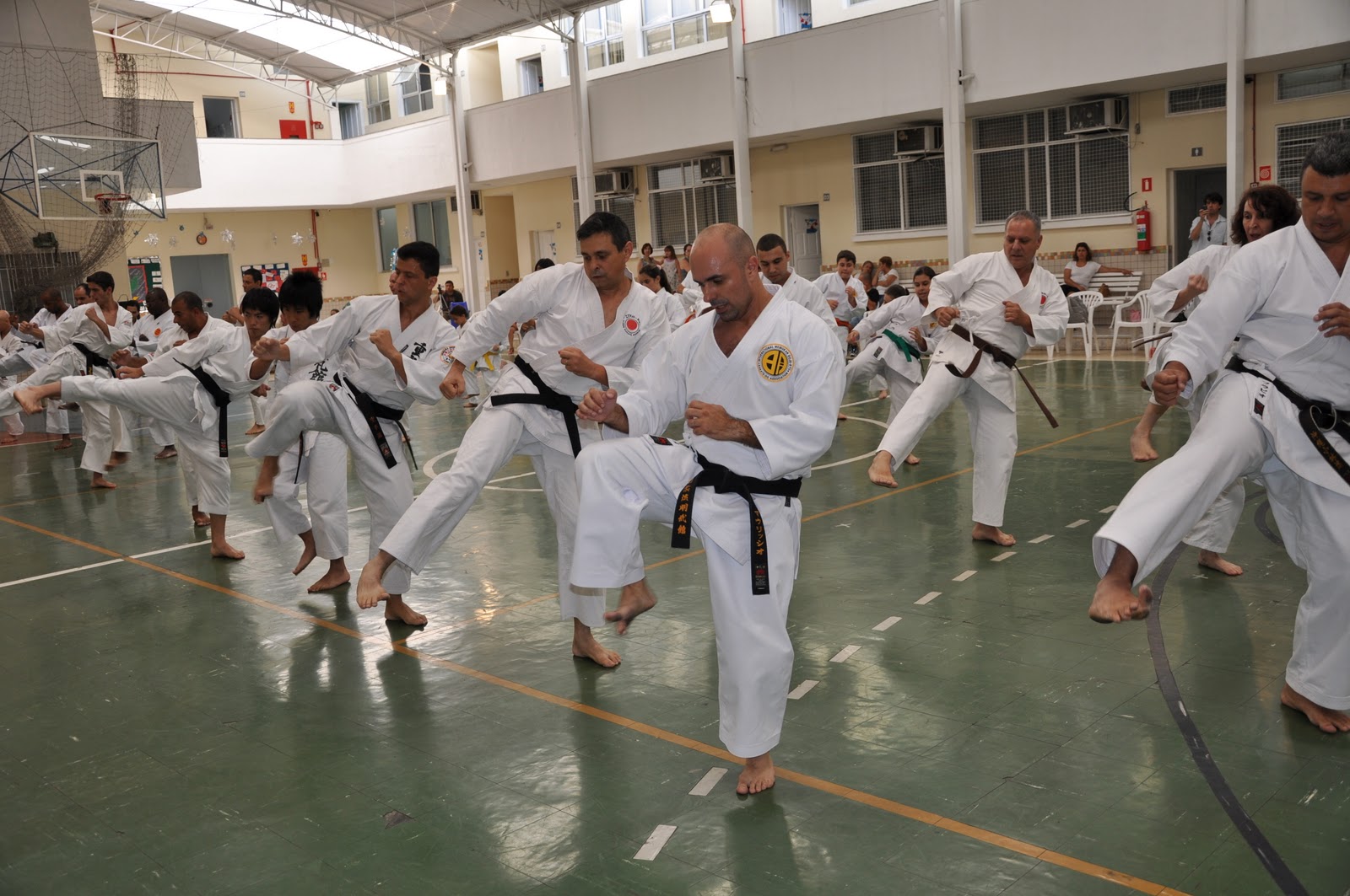 Meibukan Karate Dojo S.P. Brazil: SEMINÁRIO INTERNACIONAL DE KARATE ...