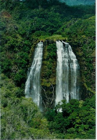 Eleven Twenty Five Eleven: Honeymooners!!!