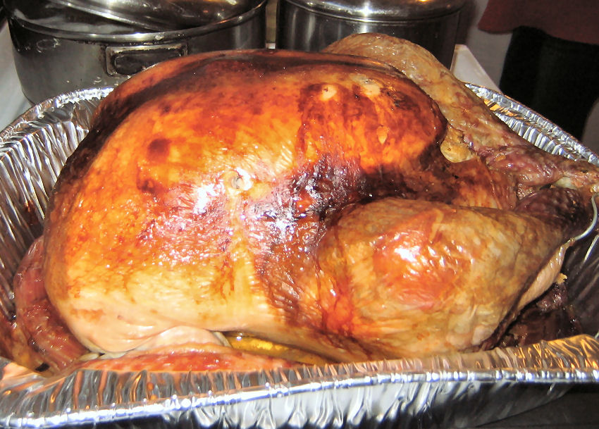 Butter-crisped Turkey