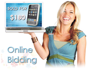 Bidding Website: Guidelines Of Online Bidding