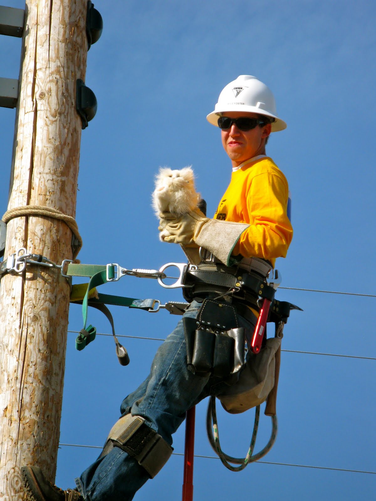The foster's: He is a certified Lineman