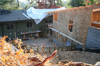 The Inadomi Chronicles