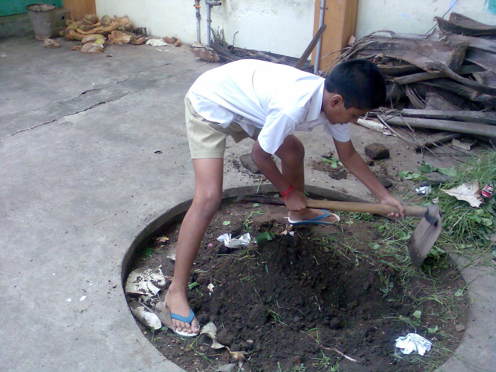 My innovative classroom: Vermiculture Project-Photos