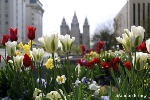 Beyond Bones: Springtime on Temple Square