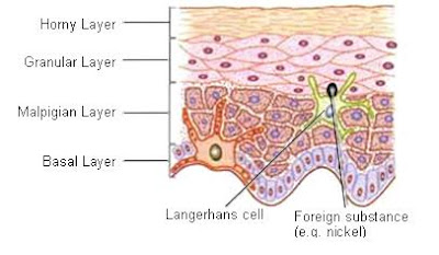 Healthy Skin Solutions