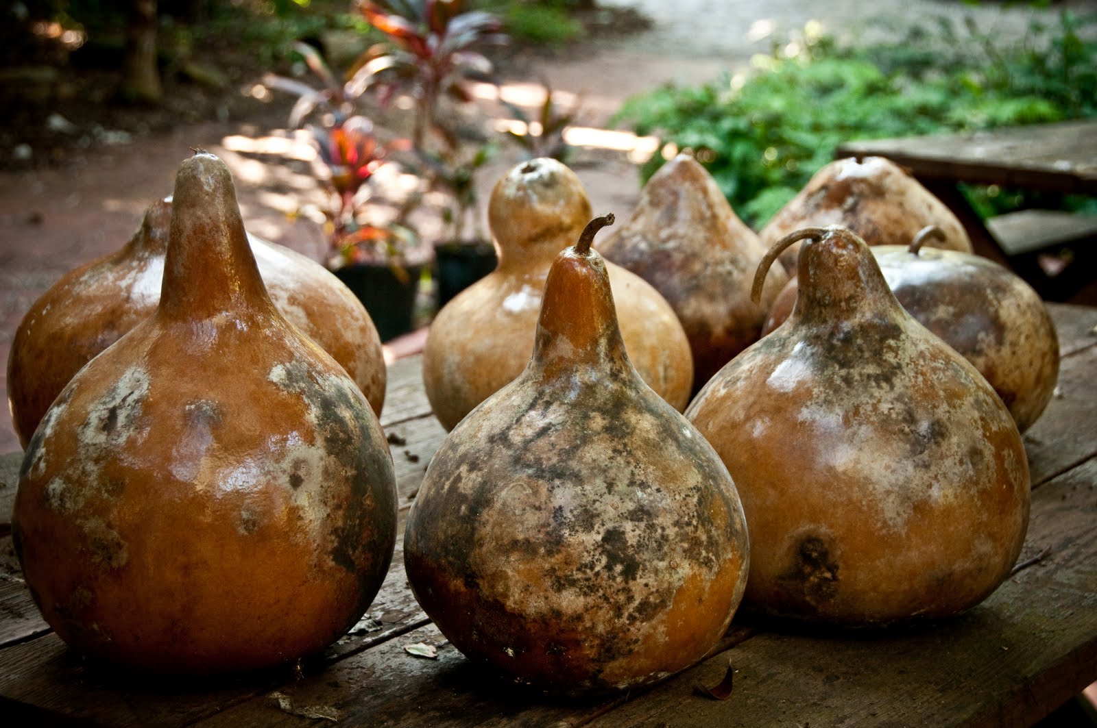 Welcome to Sacred Lands