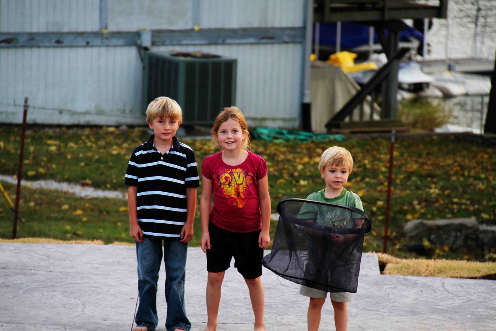 Life with a BQ: dog chasing kids or .. kids chasing dog