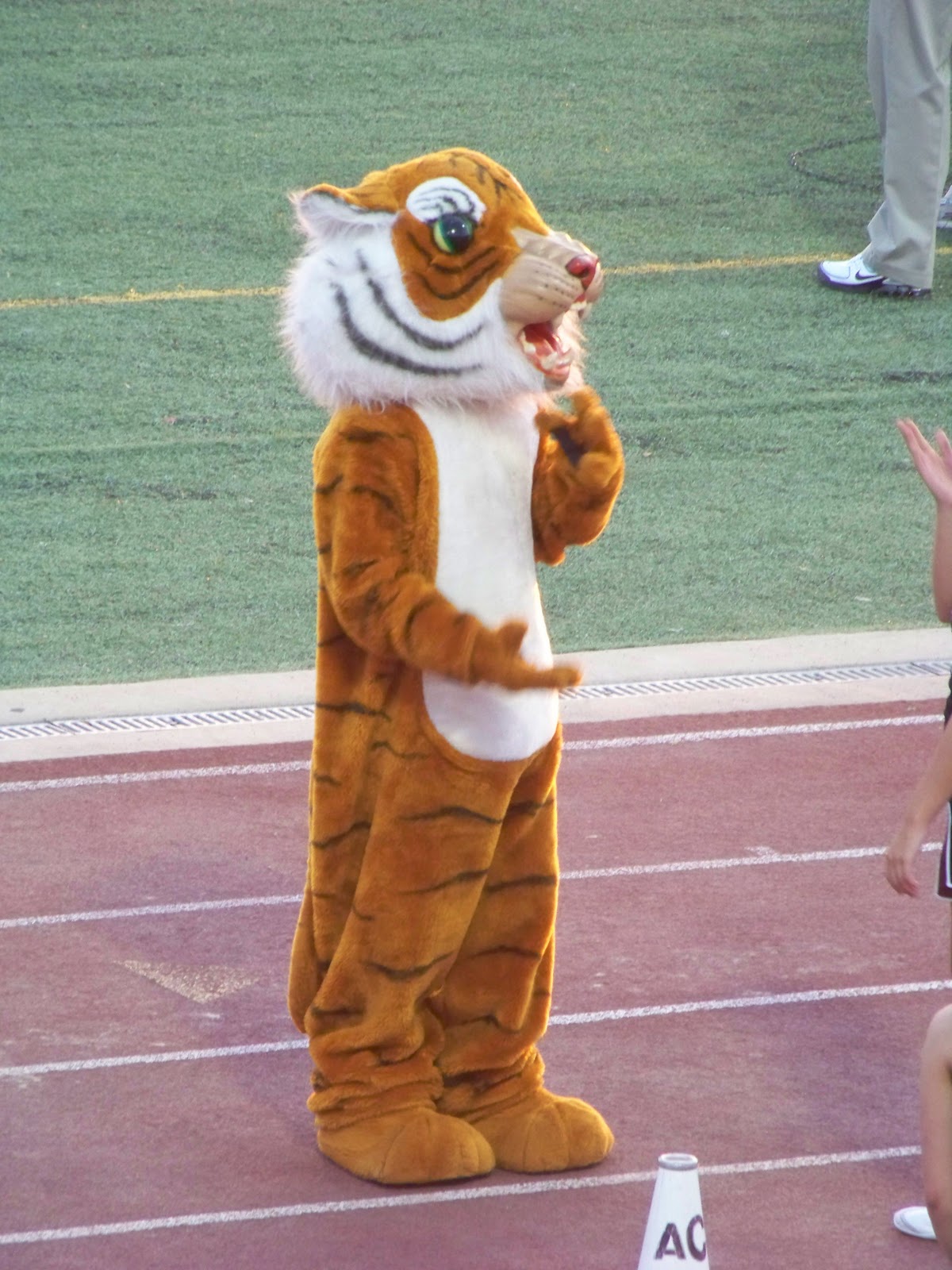 CHS Tiger Cheerleaders: Varsity has Tiger Pride!