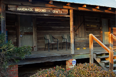 Self-taught SC: An Ethological & Artistic Survey