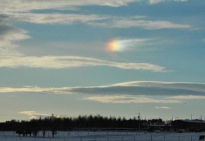 CABINET OF CURIOSITIES: Rainbow Cirrus a.k.a. Fire Rainbow