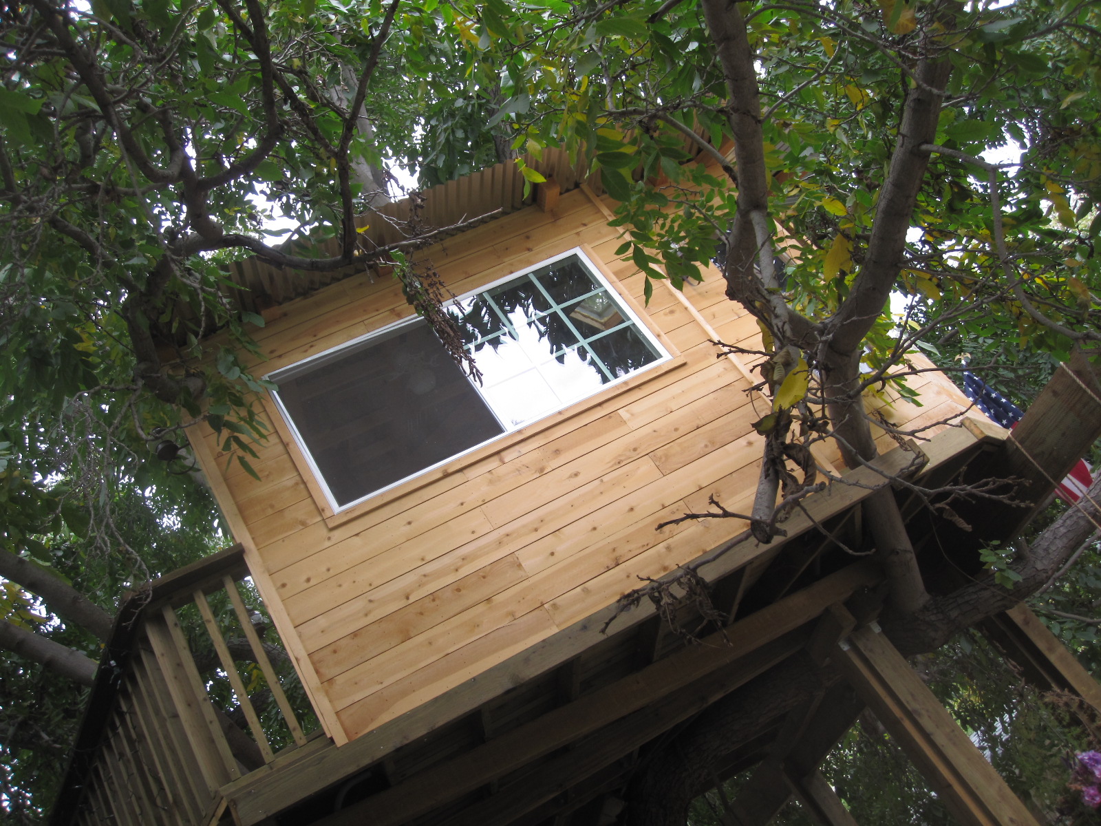 Zucchero Architects: Tree House Built in an Old Walnut Tree / California
