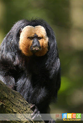 C-PHOTO: 15-odd species of part 2