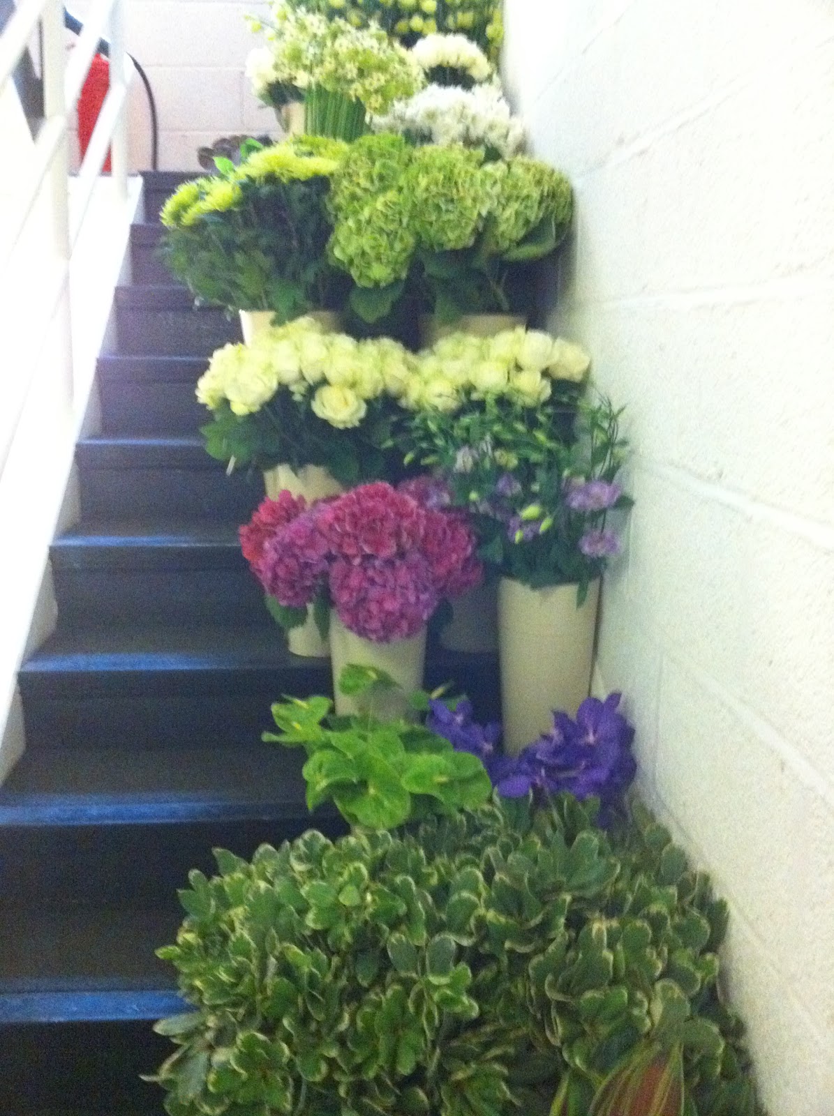 Jane Packer Launches her new Fragrance Collection | Perfectly Polished