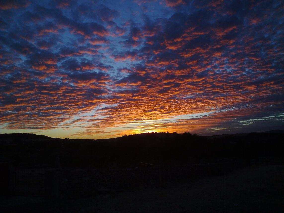 Directo Zarza: Arreboles de la tarde
