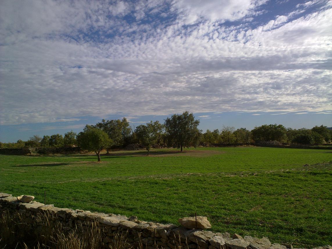 Directo Zarza: Arreboles de la tarde