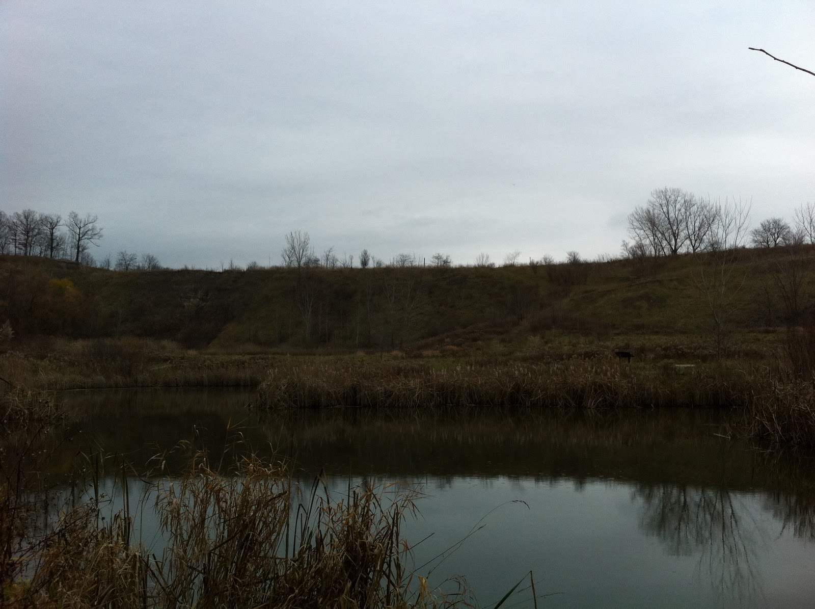Don Valley Brickworks: The Quarry and the Brick Making Process