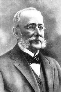 Infection Landscapes: Yellow Fever