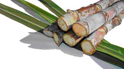 Article: Open Letter to Hillary Clinton Regarding Redeveloping Haiti's ...