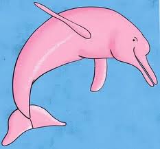 BLOG CRIE PROJETOS: Lendas do nosso folclore - O Boto