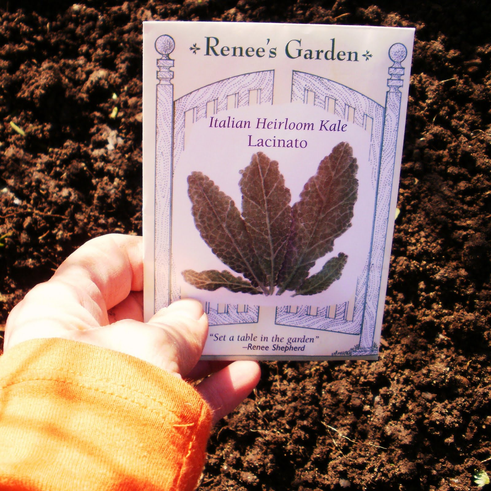 Really Rose: Seed Grow Project - April 2010