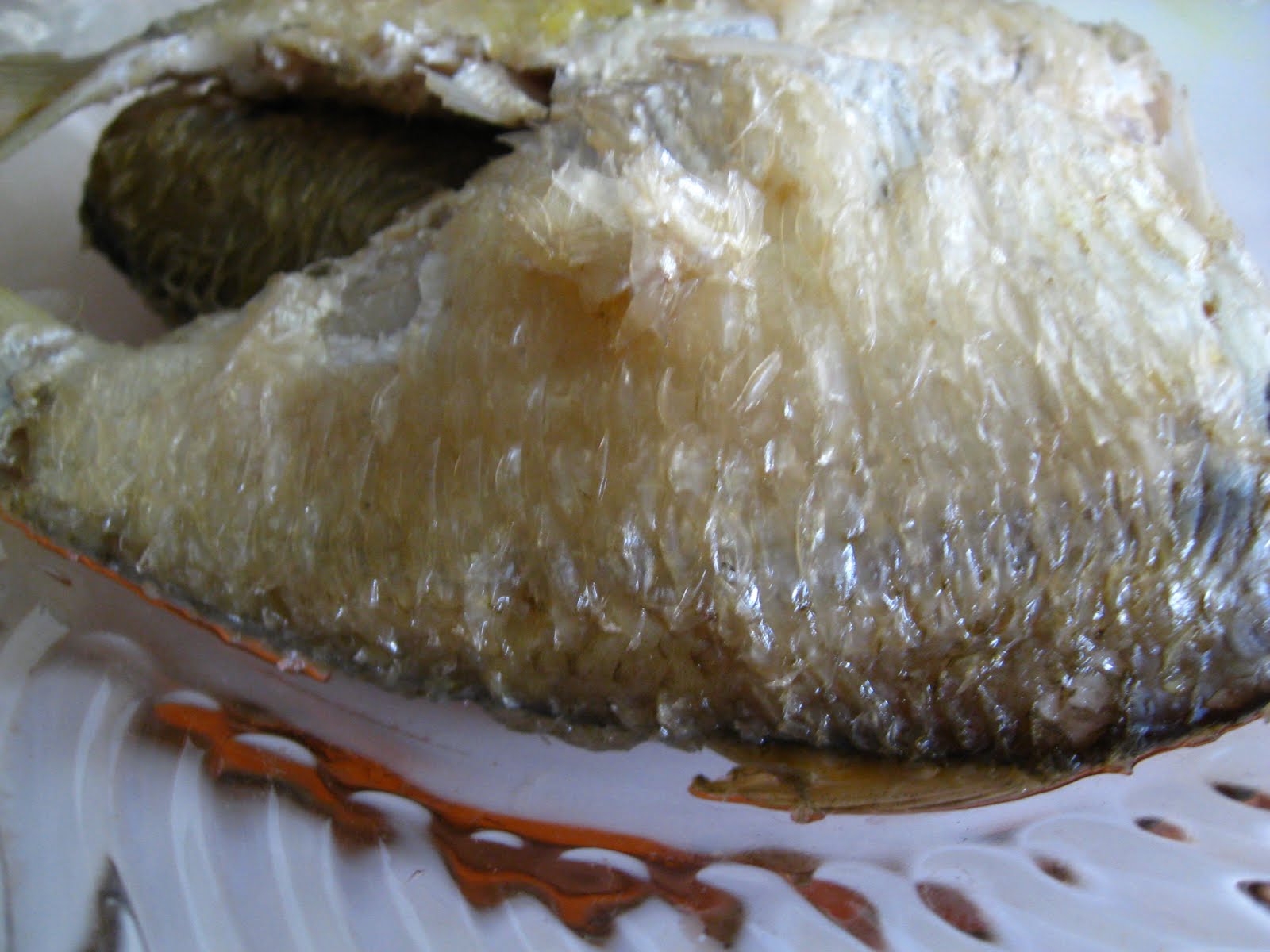 Cerita Bearcat: Kebasi Reput Tulang