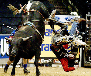 This and That and More of the Same: Throwing the Bull or Whatever