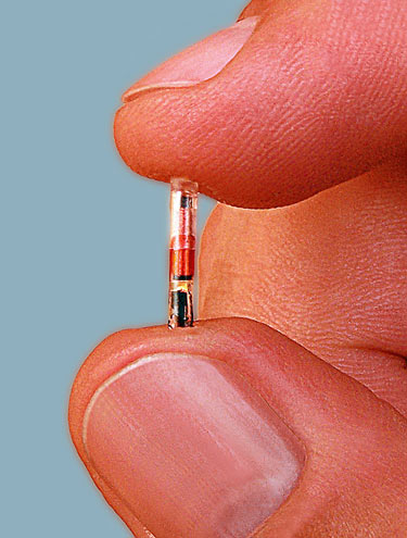 Clínica Veterinária Animalmed: MICROCHIP EM ANIMAIS