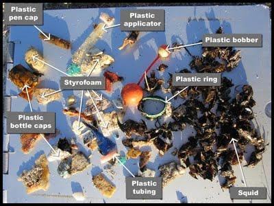 That's Rubbish!: The Great Pacific Garbage Patch.