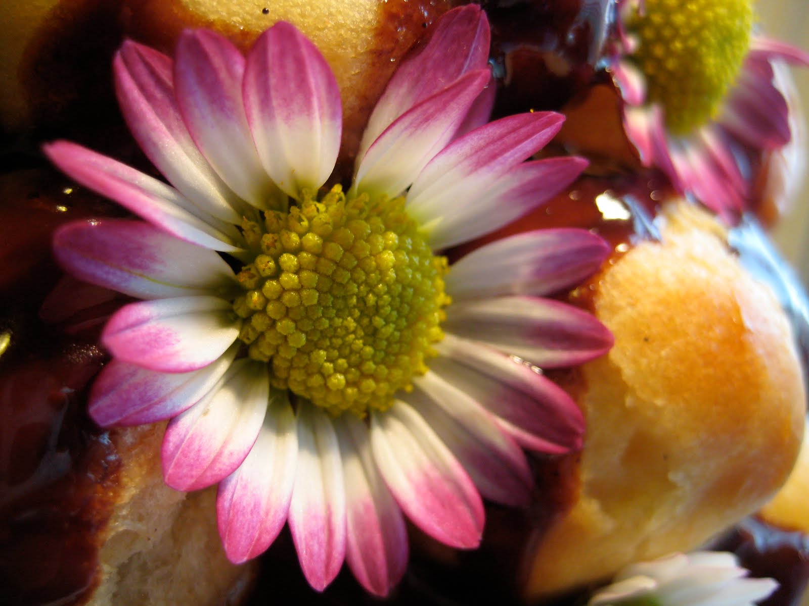 The Cupcake Life: Celebratory Cream Puff Tower
