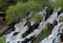 Aryan Jaff: The Kurdish language