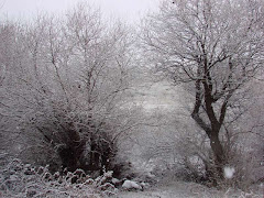 Aryan Jaff: The Kurdish language