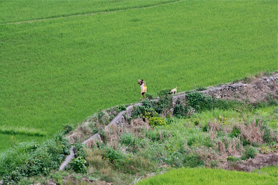 Asunta Rufino's Travels Thru Life...: Rediscovering the North - Part 1 ...