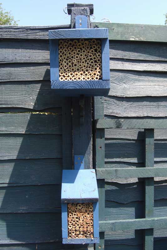 Soggibottom: Where to site a bee box with a link to free plans and ...