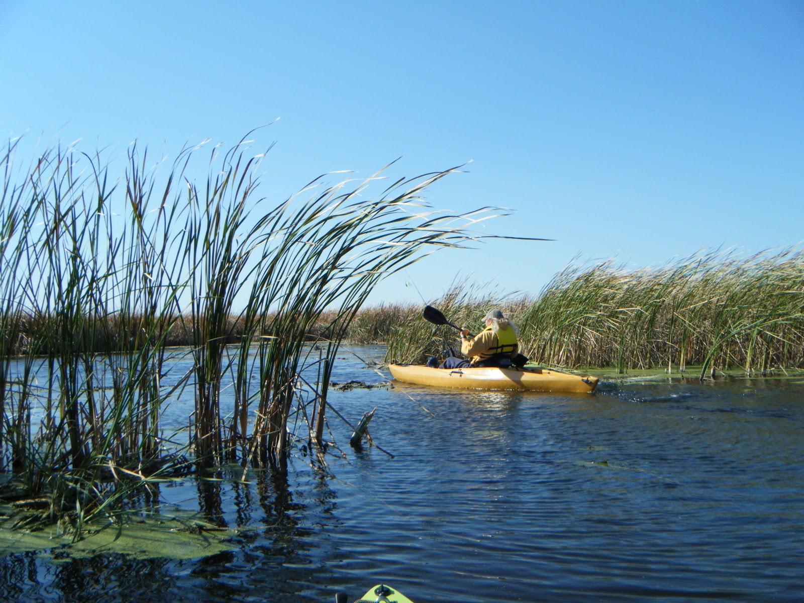 Onion River Exploration Project: Sheboygan Marsh