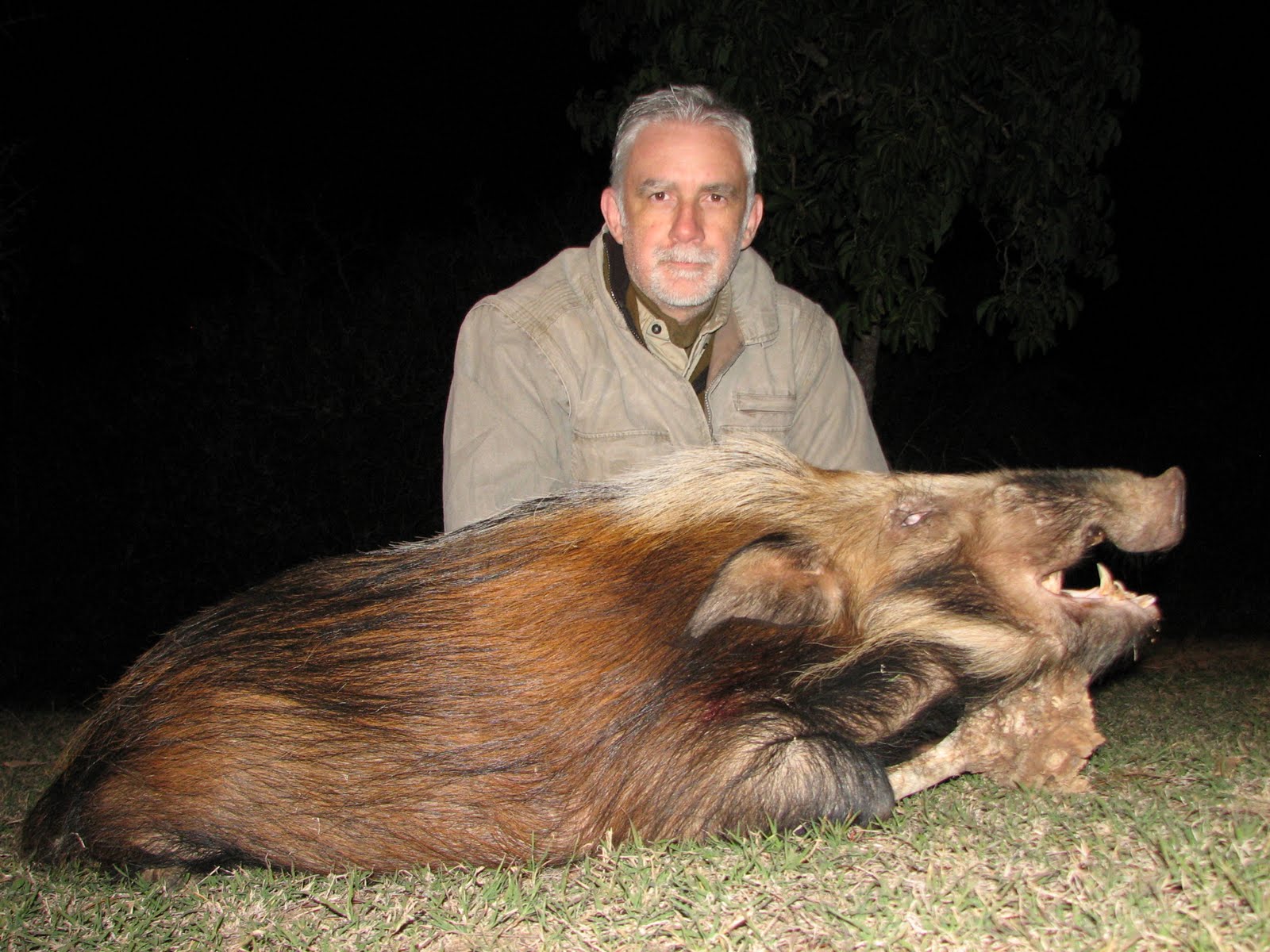 Eardley's Bushpig: Great bushpig hunting in the waxing moon during July ...