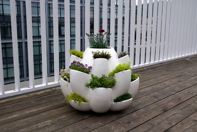 PhotoPasal: 41 Cool and Creative Planters.