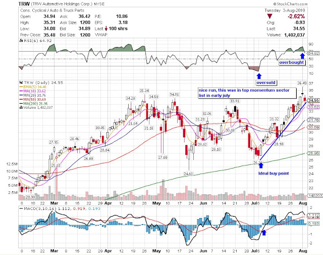 August 2010 | The Patient Fisherman